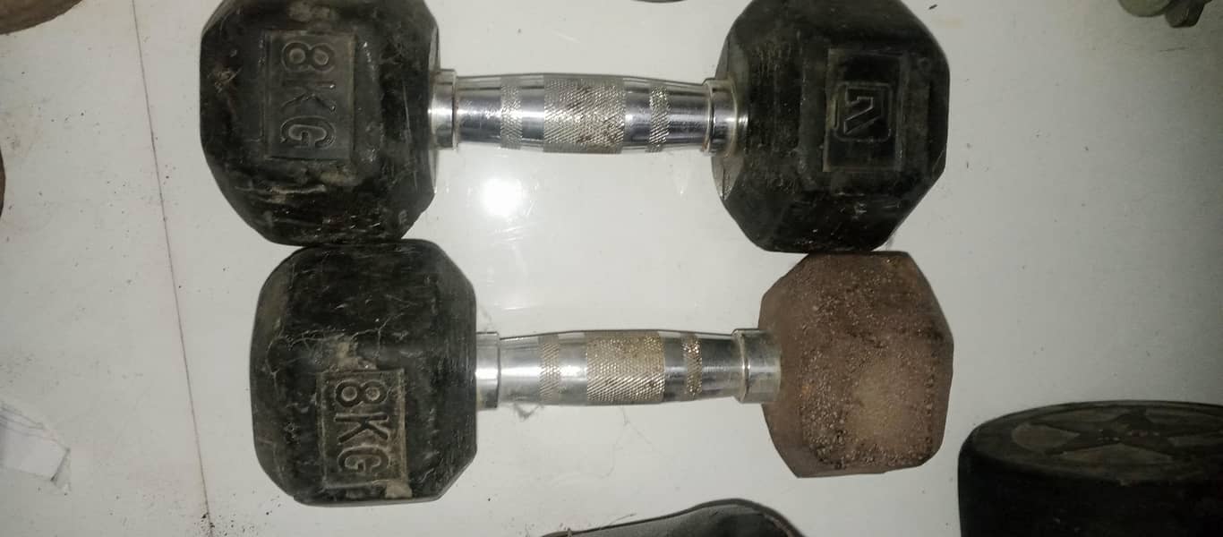8kg dumble pair - Gym & Fitness - 1103197430
