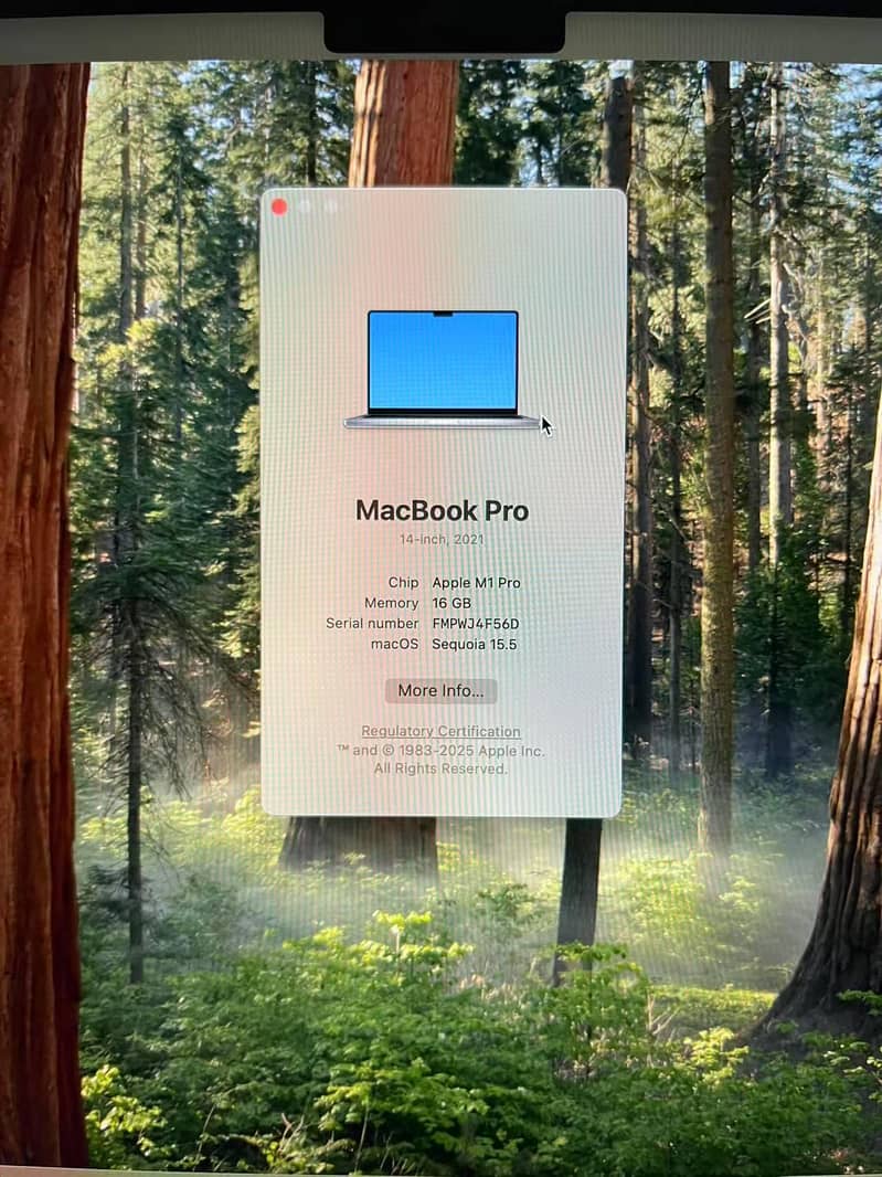 Apple MacBook M1 Pro 2021 - Laptops - 1103325957