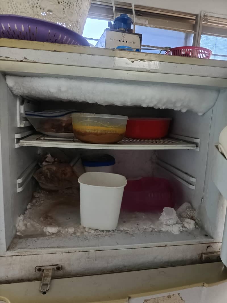 Pell fridge large size condition 10/8 - Refrigerators & Freezers ...