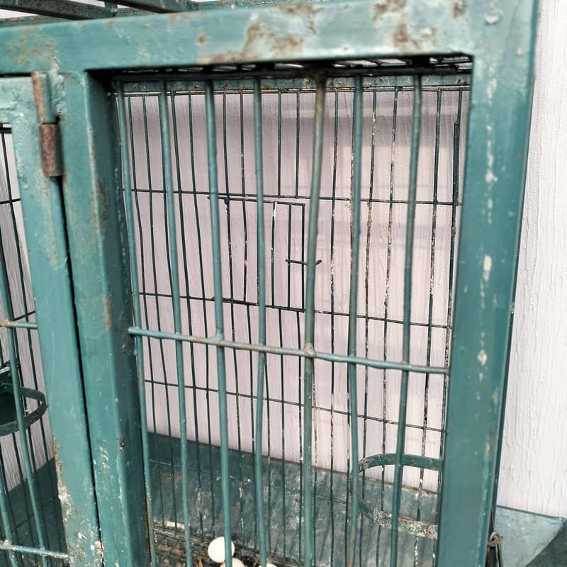 4 cages are sell of parrots and hens - Hen Cages - 1103730055
