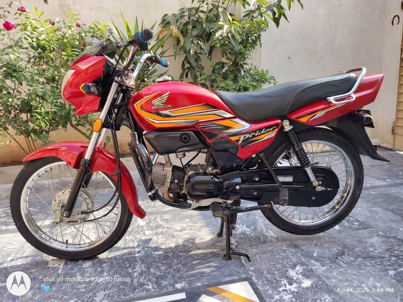 Honda prider - Standard - 1103805031