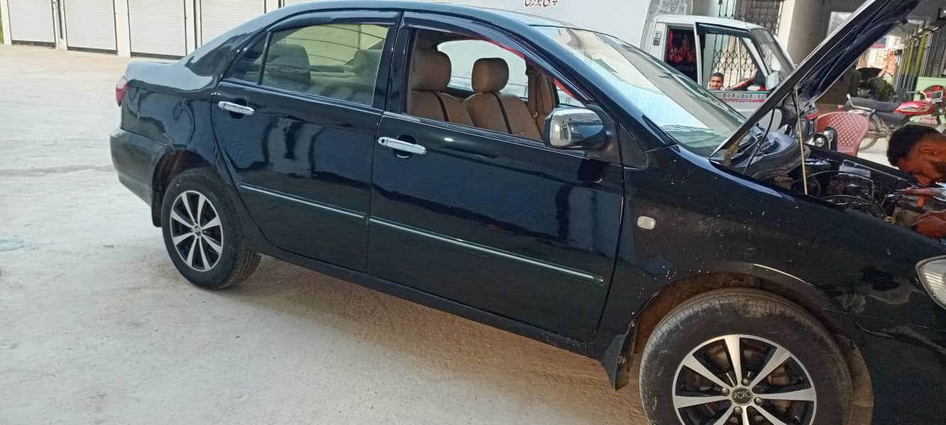 corolla . xli - Cars - 1101831682