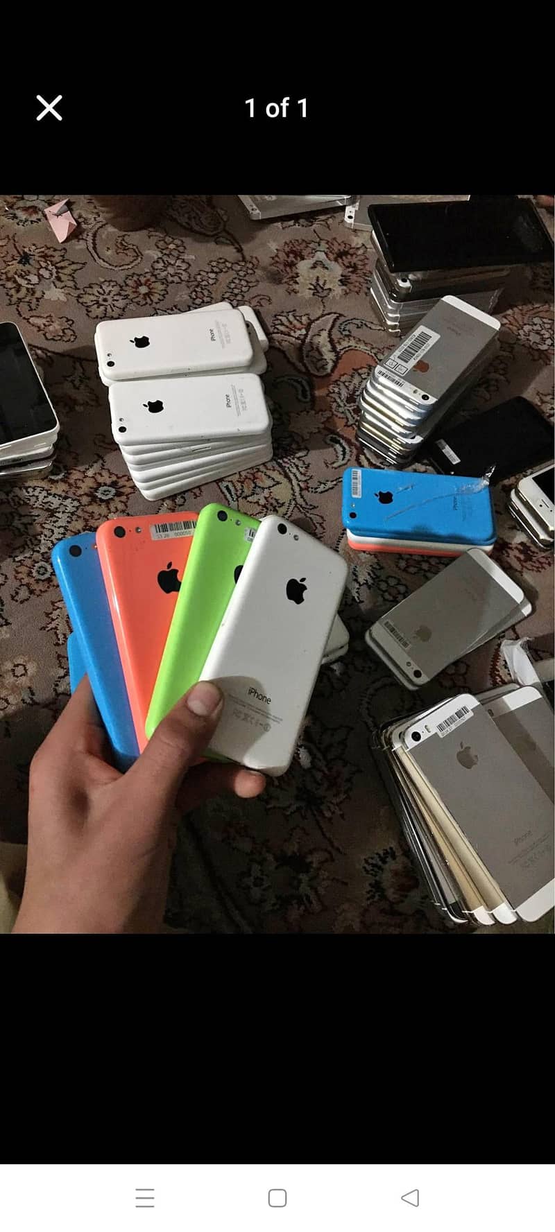 Apple iPhone 5c Fresh - Mobile Phones - 1104205031