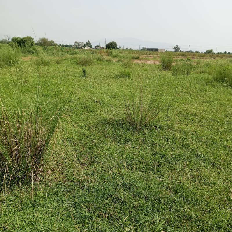 plot for urgent sale - Land & Plots - 1104289588