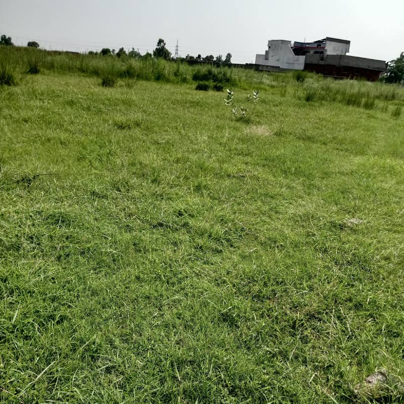 plot for urgent sale - Land & Plots - 1104289588