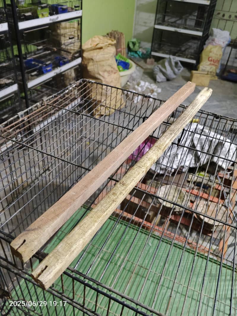 FOLDING AND ANGLE CAGE - Cages, Crates & Doors - 1104557679