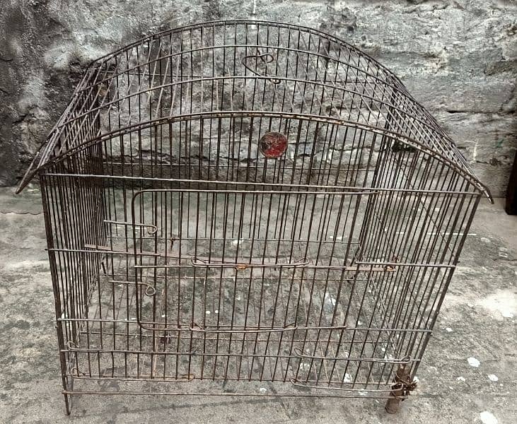 Pigeon pur indian surkha available for sale & etc. 0308-5000940 ...