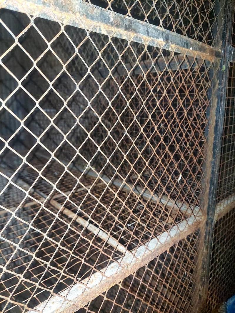 cages for birds - Cages, Crates & Doors - 1104611464
