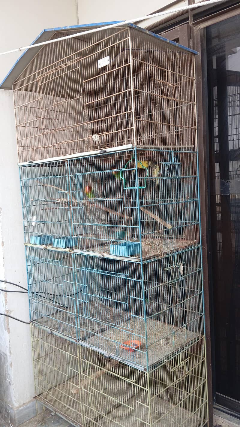 17000 - Hen Cages - 1104708038