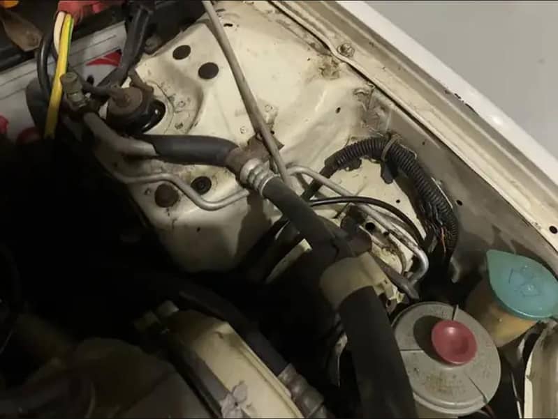 Honda Civic EG Ferio - Cars - 1104729507