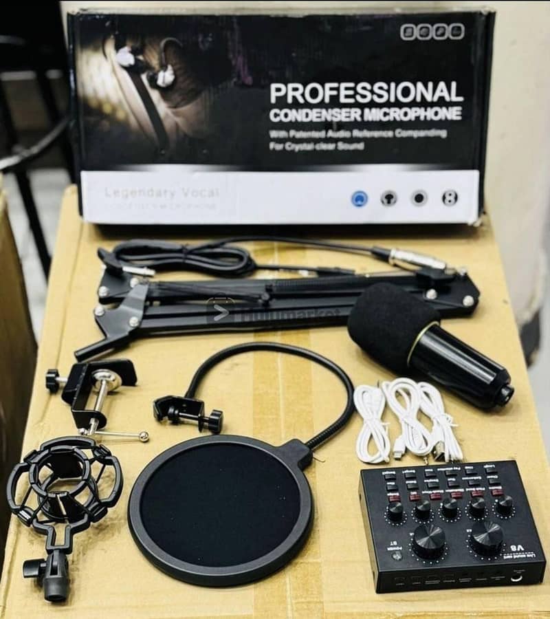 LEGENDARY PROFESSIONAL CONDENSER MICROPHONE - Musical Instruments ...
