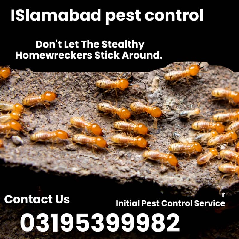 Mosquito Spray | Fumigation | Dengue Spray | Cockroach | Pest Control ...