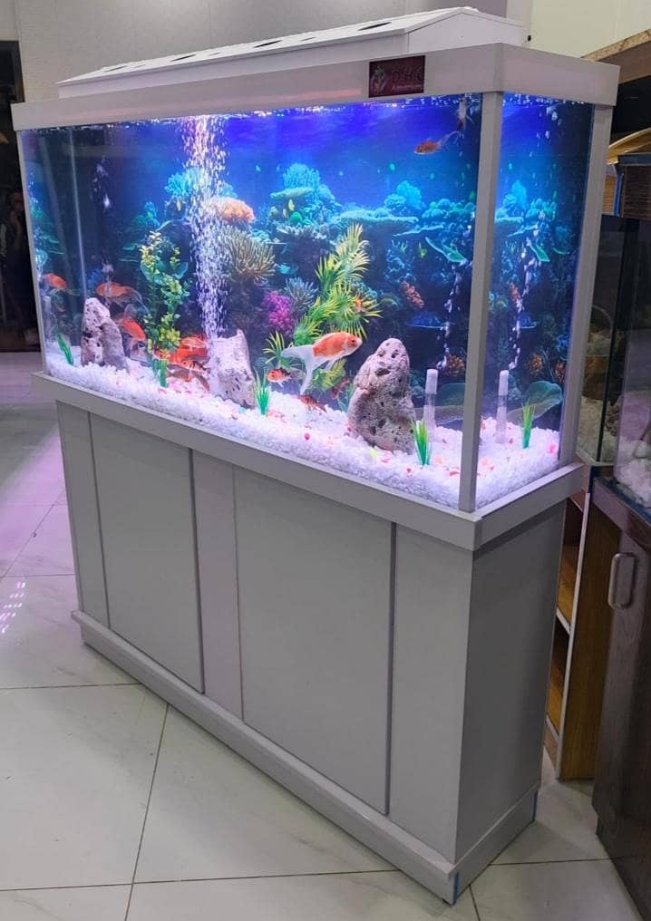 White Haven Aquarium - Fish - 1105298790