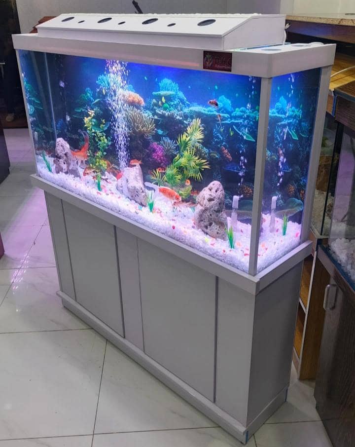 White Haven Aquarium - Fish - 1105298790