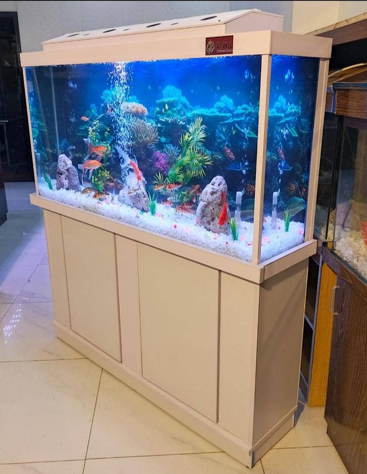 White Haven Aquarium - Fish - 1105298790