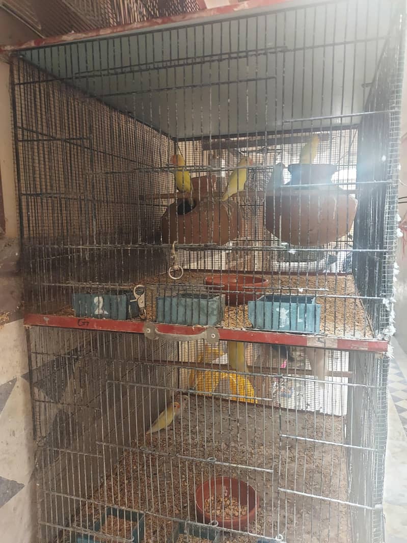 4 portion fixed cage - Birds Accessories - 1105785856