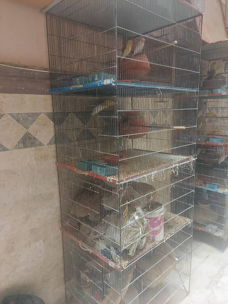 4 portion fixed cage - Birds Accessories - 1105785856