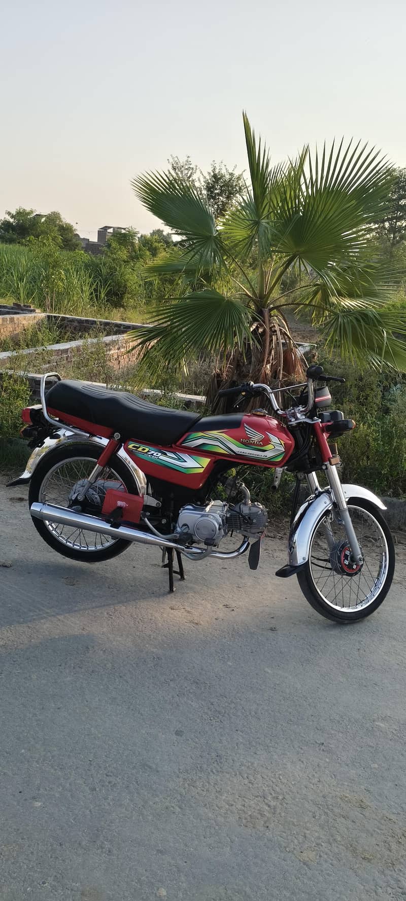 Honda CD 70 2023 model like new - Standard - 1105789507