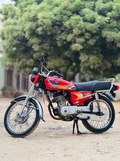 United 125 model 2020 - Standard - 1105865651