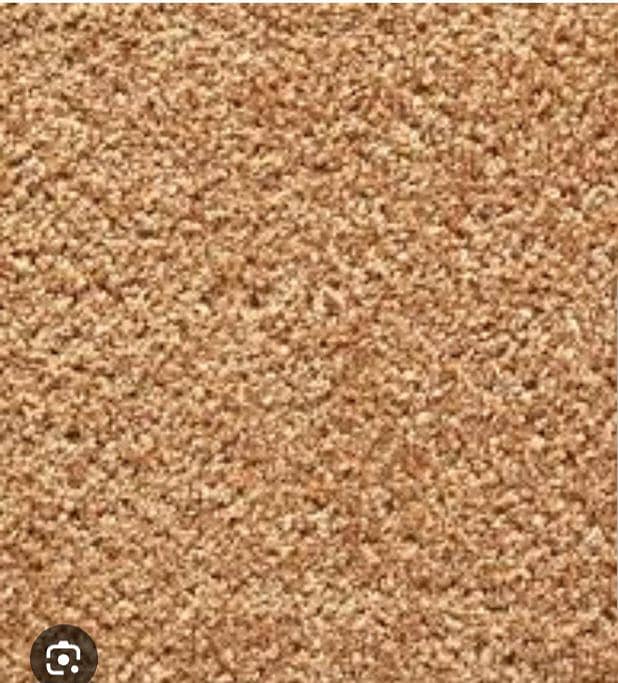 brown color carpet - Carpets - 1106048648