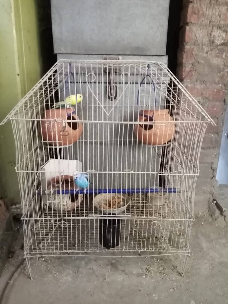 Cage Sale - Birds Accessories - 1106148979