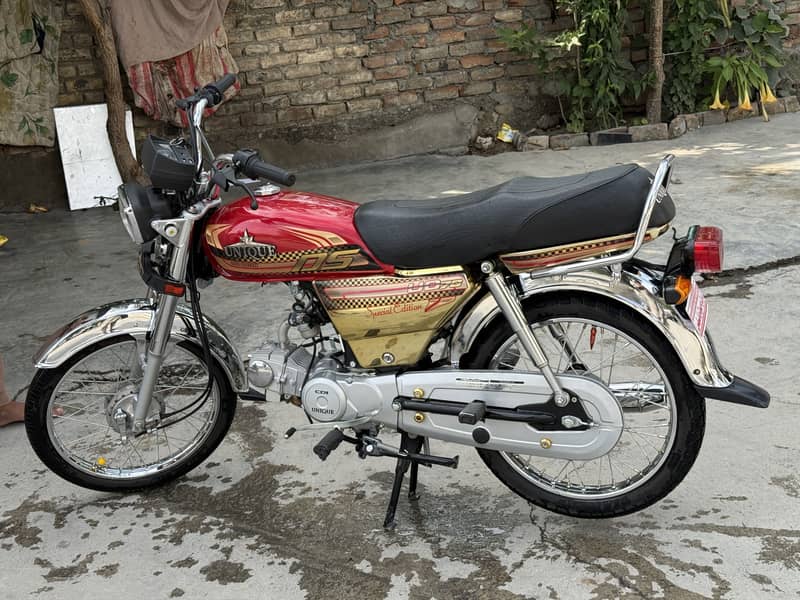 Unique bike 2025 gold edition - Standard - 1106161624