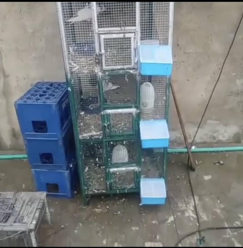 birds cage pure iron 4 portion new condition - Cages, Crates & Doors ...