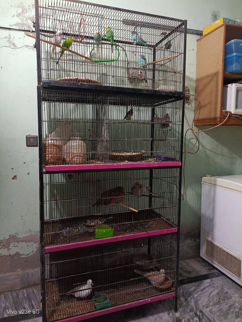 8 portion Heavy iron Cage angle - Cages, Crates & Doors - 1106309481