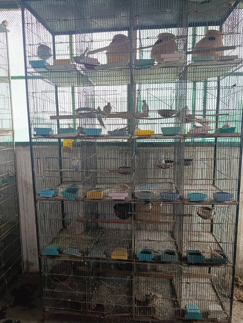 20 portions cages - Cages, Crates & Doors - 1106456477