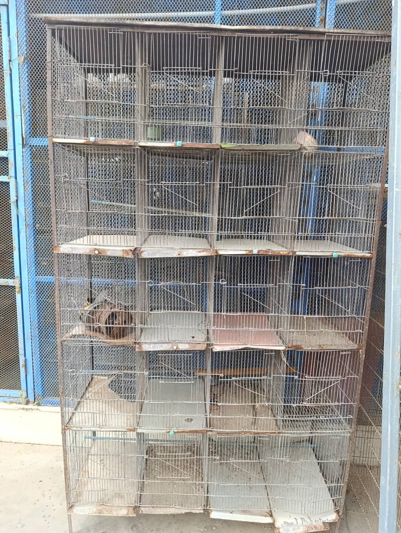 20 portions cages - Cages, Crates & Doors - 1106456477