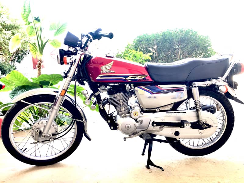 Honda CG 125 self start model 23 24 shape - Standard - 1106488616