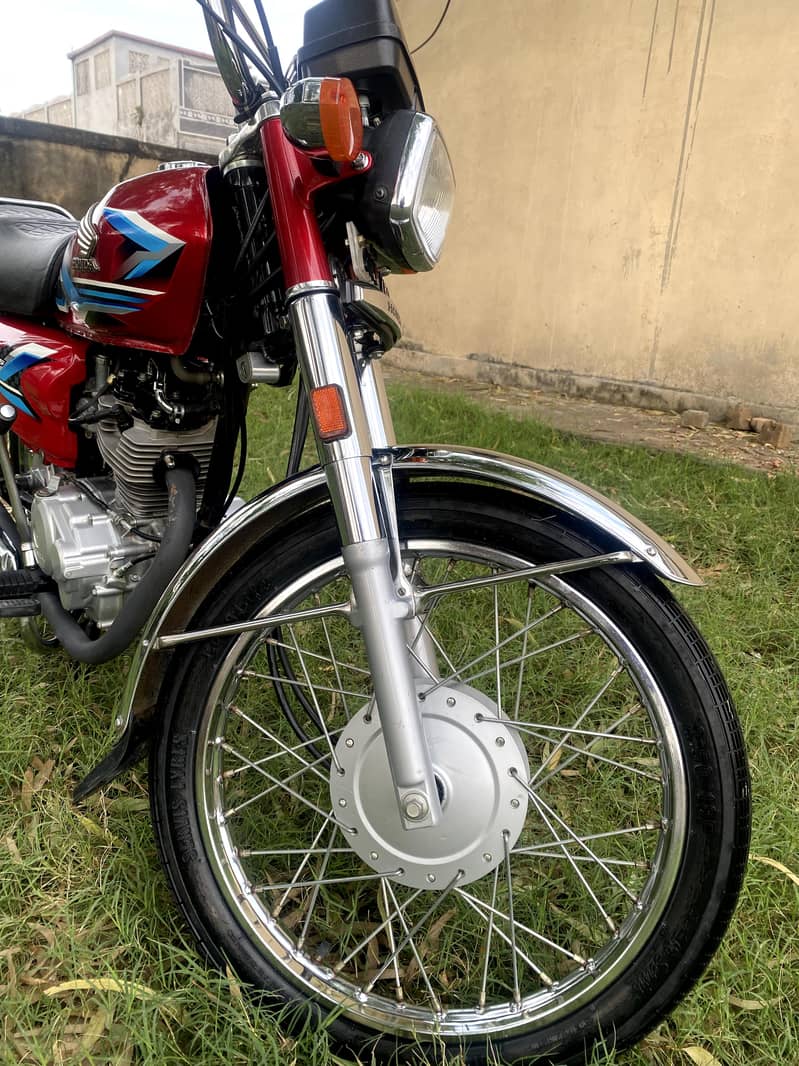 Honda 125 23/24 model - Standard - 1106712023