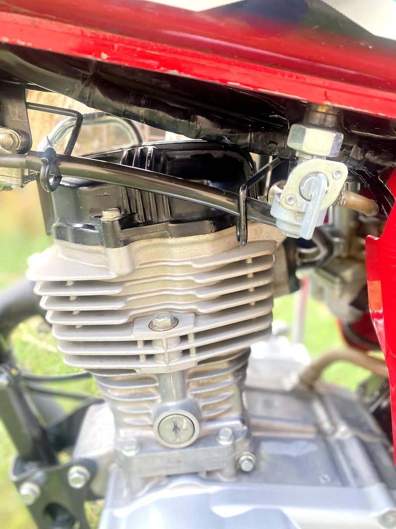 Honda 125 23/24 model - Standard - 1106712023