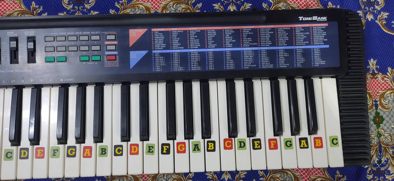 Casio CA-110 Piano Keyboard - Musical Instruments - 1106848249
