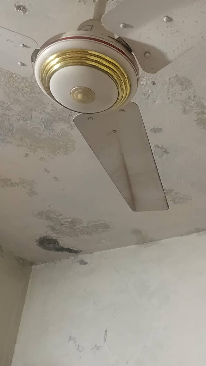 indus ceiling fans - Ceiling Fans - 1107084733