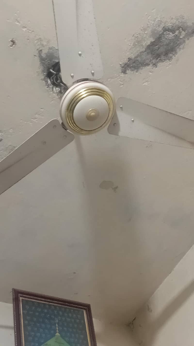 indus ceiling fans - Ceiling Fans - 1107084733