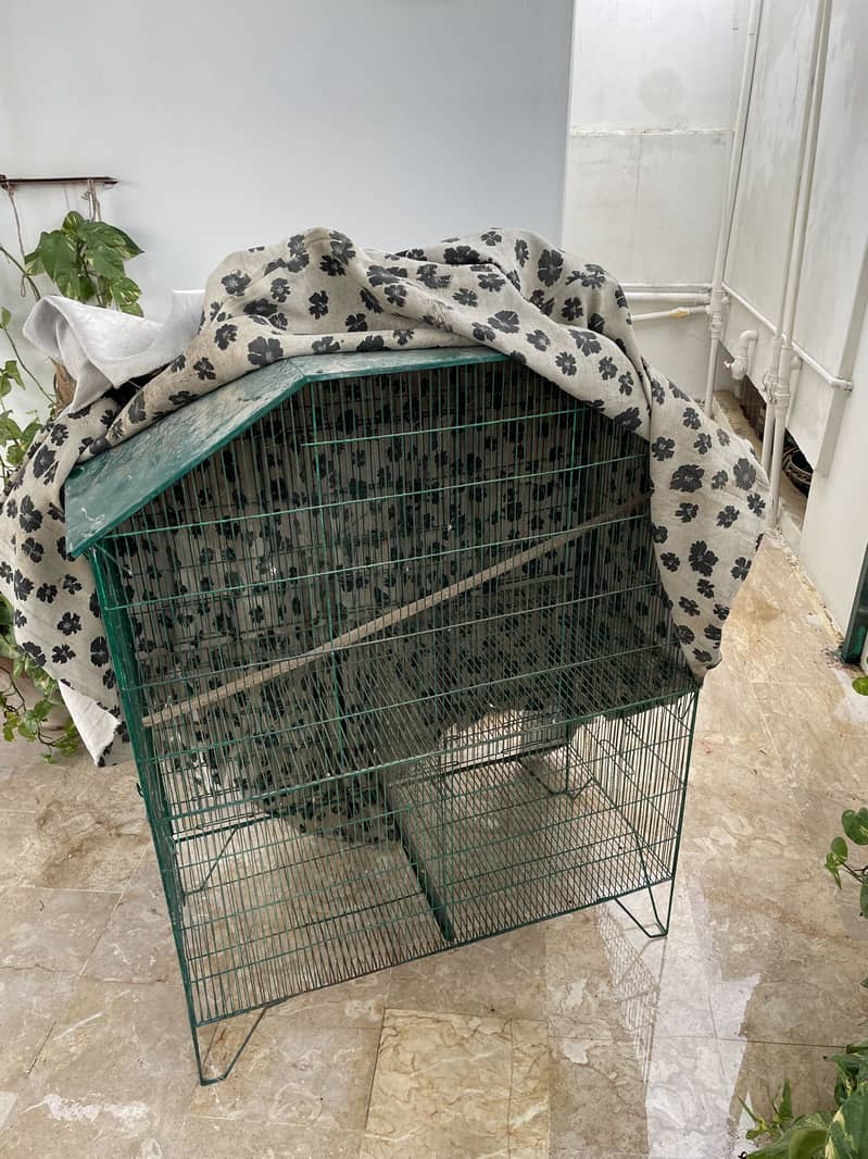 Bird parrot cage pinjara - Birds Accessories - 1107275610