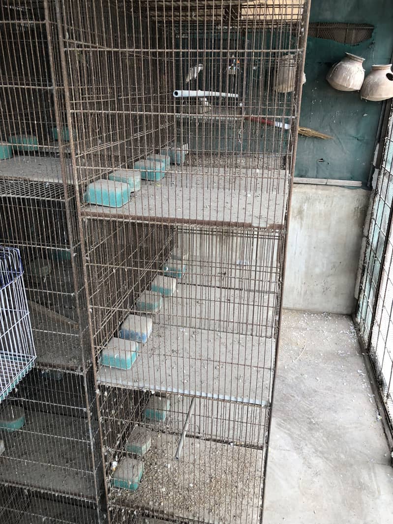12 & 8 portion cages - Cages, Crates & Doors - 1107298553