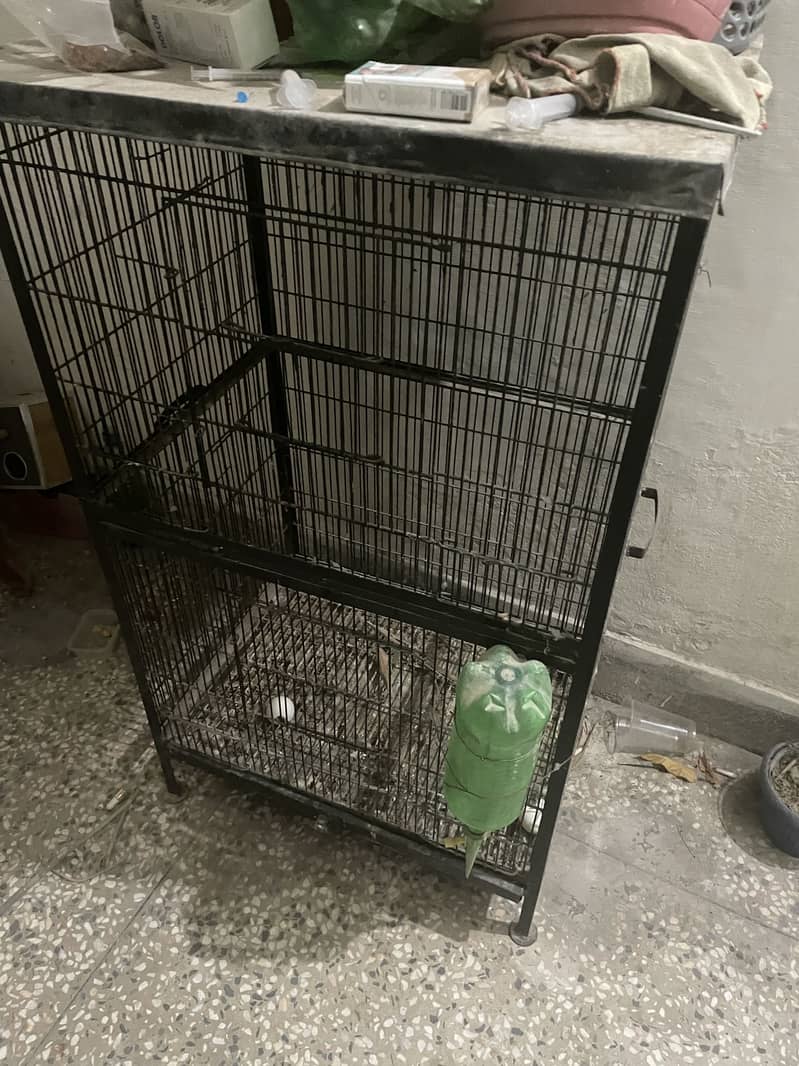 Double floor hard steel cage with tray - Cages, Crates & Doors - 1107331025