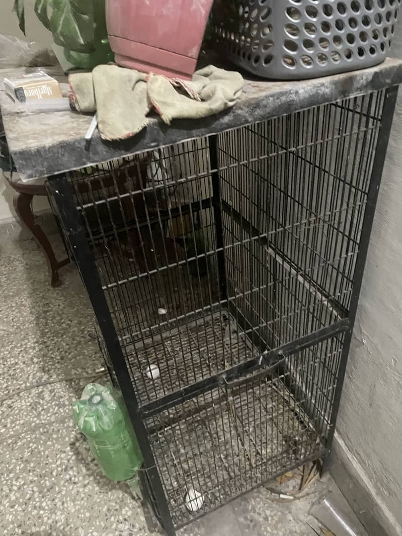 Double floor hard steel cage with tray - Cages, Crates & Doors - 1107331025
