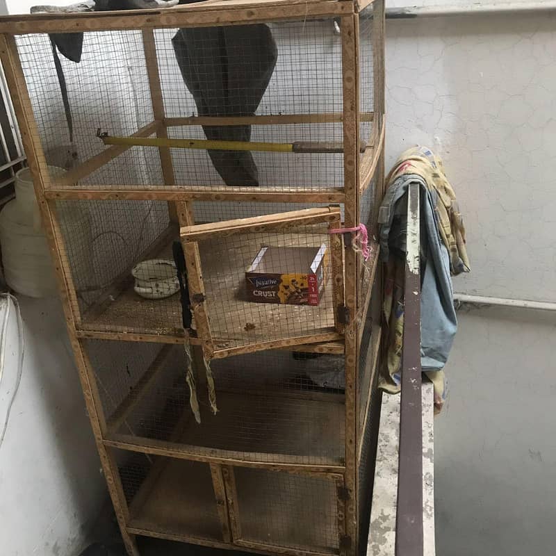 wooden Double cage - Hen Cages - 1107583518