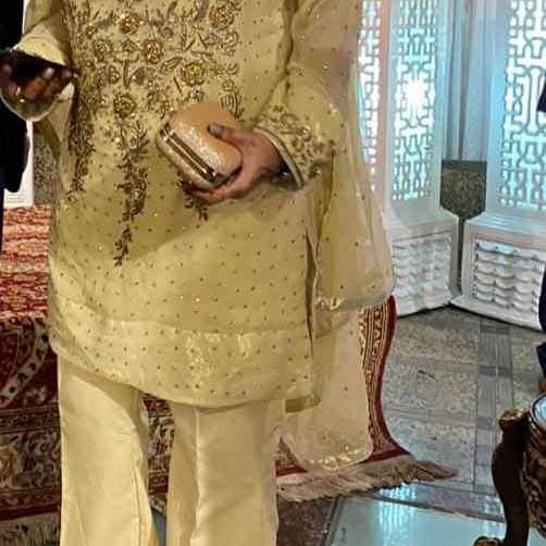 Fawn colour party wear dress. - Eastern - 1107638659