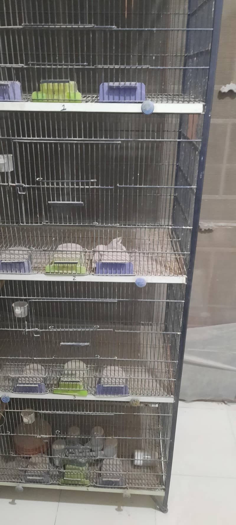Angle Cage for sale - Cages, Crates & Doors - 1107679414