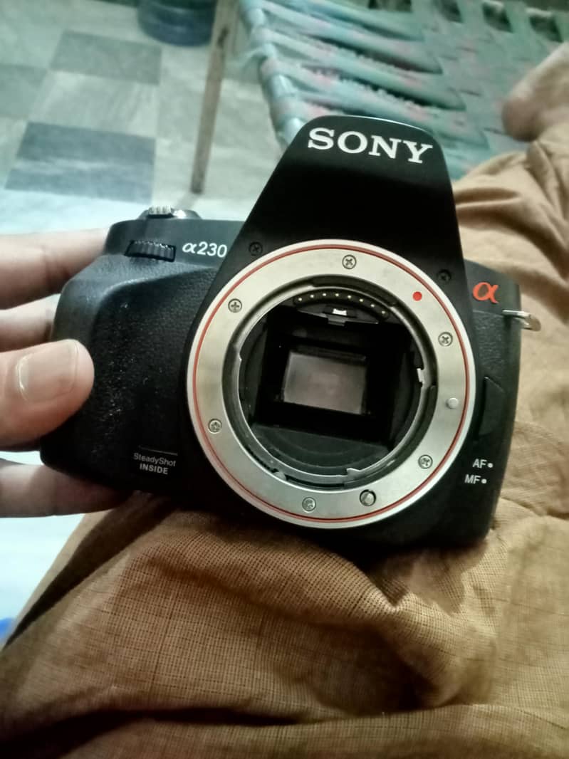 Sony alpha a230 - Digital Cameras - 1107741619
