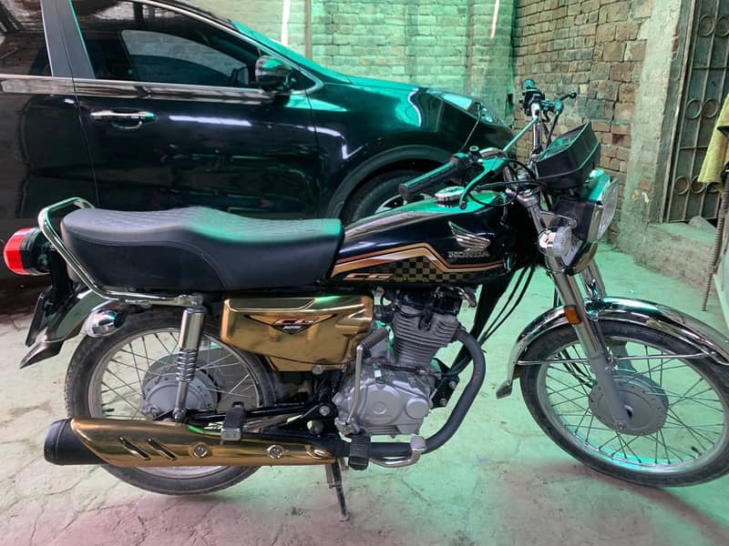 Honda CG 125 gold edition 2023/24 - Standard - 1107799068