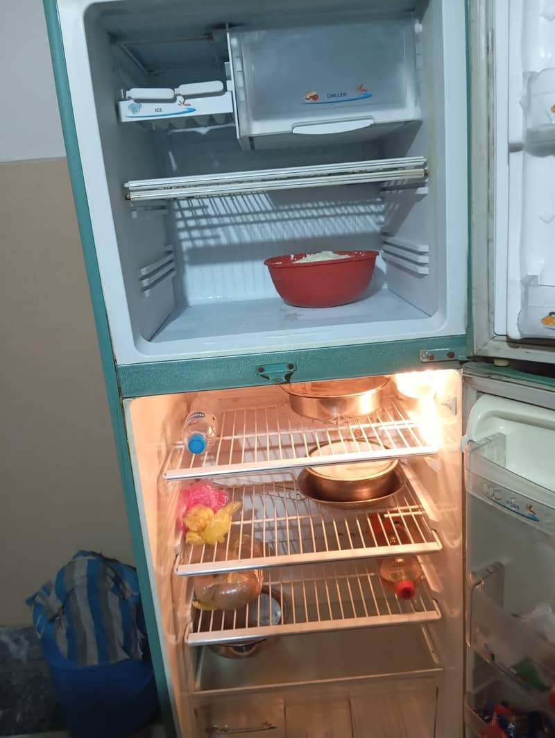 Pel 2000 model Large size 9/10 - Freezers - 1107837289