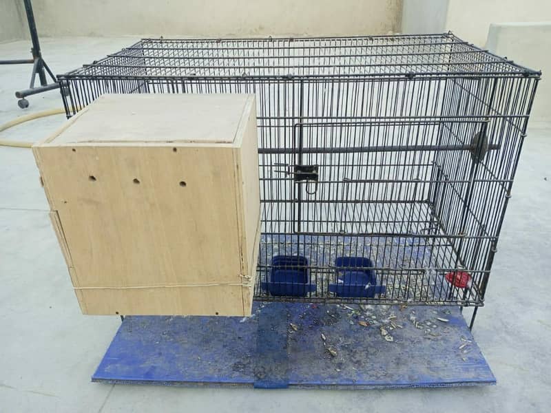 iron solid cage with big box - Hen Cages - 1108158402