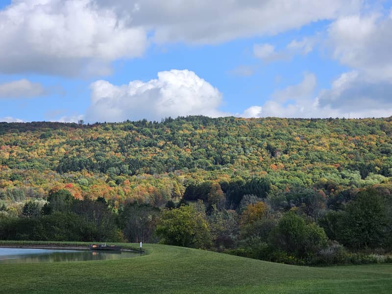 Cheeni baby required for a company CEO - Clerical & Administration Jobs ...