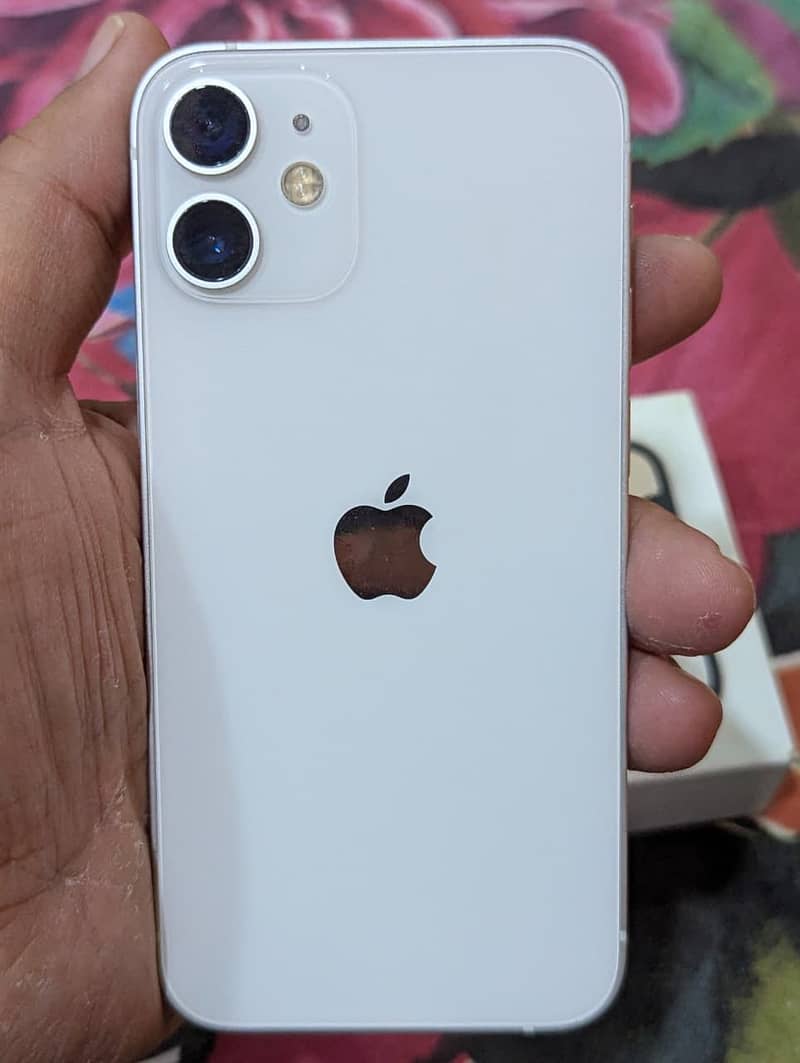 Iphone 12 mini 256 GB - Mobile Phones - 1108527091