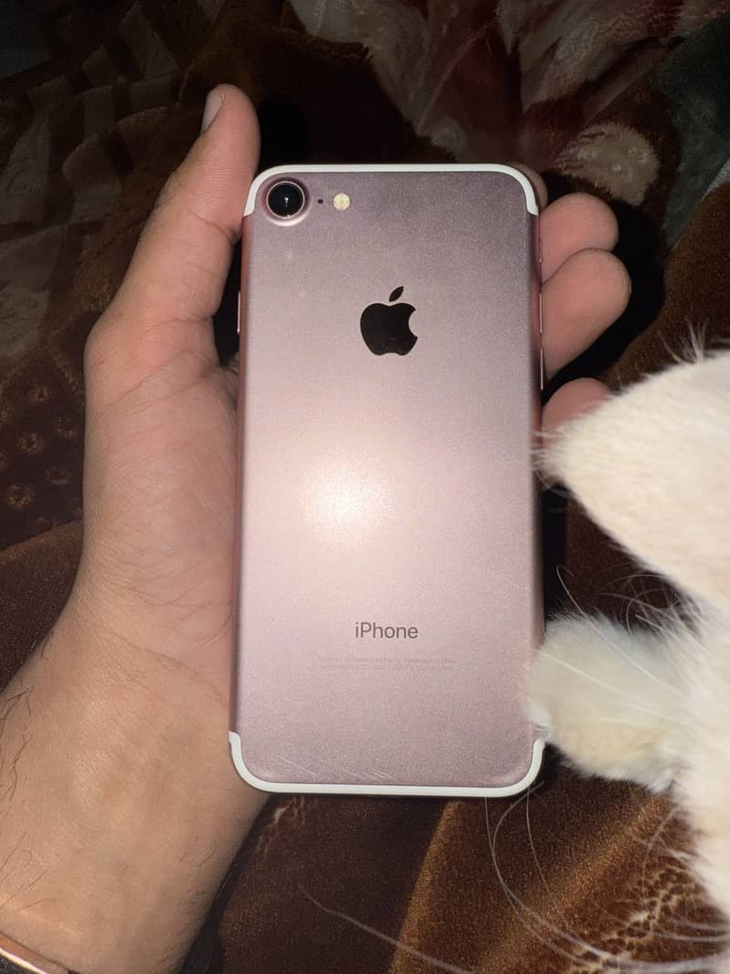 iPhone 7 - Mobile Phones - 1108408197